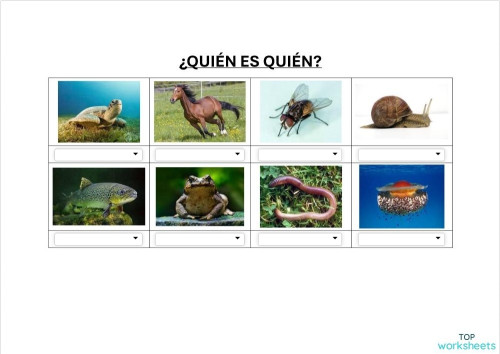 QUIÉN ES QUIEN. Ficha interactiva | TopWorksheets