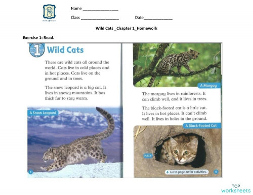READING_WILD CATS_CHAPTER 1_JAN 7. Interactive worksheet | TopWorksheets