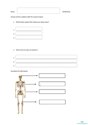 movement system. Interactive worksheet | TopWorksheets