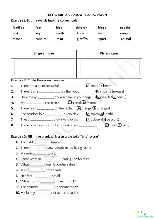 Plural Nouns - Test 15m. Interactive worksheet | TopWorksheets