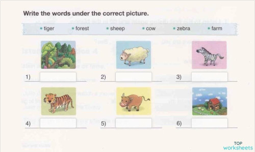 Where do they live?. Interactive worksheet | TopWorksheets