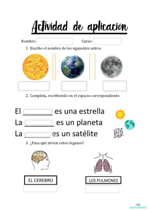 actividad ciencias. Ficha interactiva | TopWorksheets