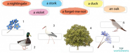 4th grade April Park or forest 1st level. Interactive worksheet ...