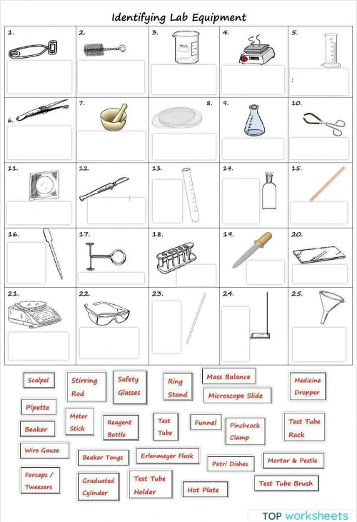 Identifying Lab Equipment. Interactive worksheet | TopWorksheets
