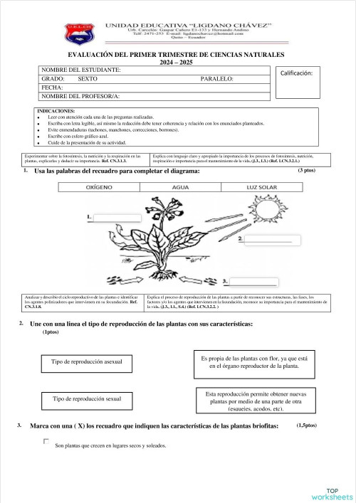 PHOTOSYNTHESIS. Ficha interactiva | TopWorksheets