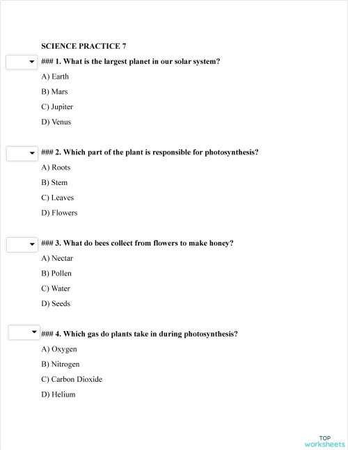 Topworksheet#02:Third partial-1°grade. Interactive worksheet | TopWorksheets