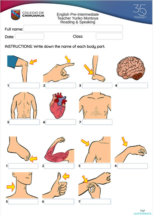 Unit 3 Health and the body. Interactive worksheet | TopWorksheets