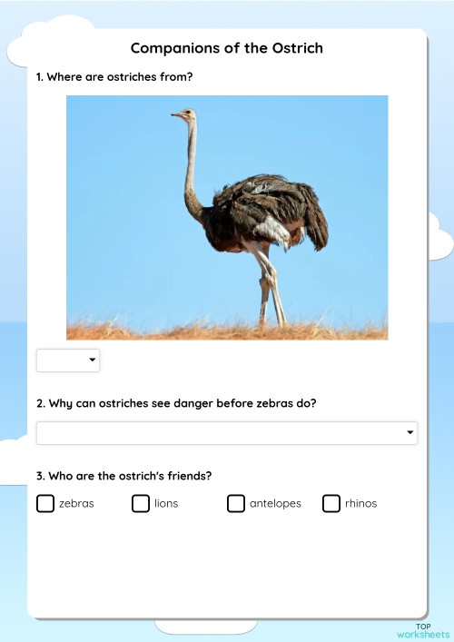 Companions of the Ostrich. Interactive worksheet | TopWorksheets