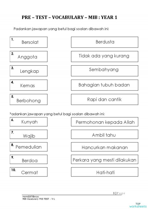 PRE-TEST-VOCABULARY-MIB-YEAR1. Interactive worksheet | TopWorksheets