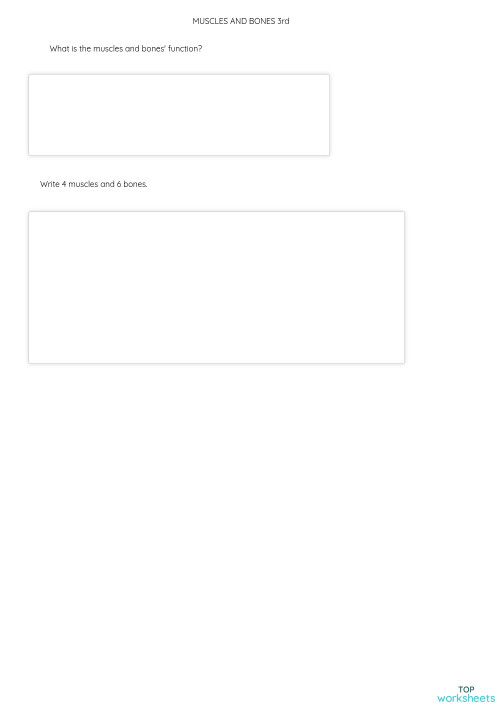 MUSCLES AND BONES 3rd. Interactive worksheet | TopWorksheets