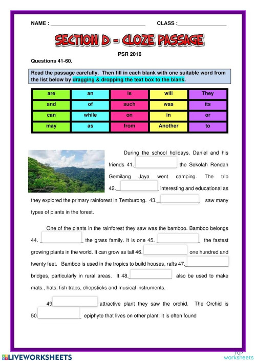 Cloze Passage 2016. Interactive worksheet | TopWorksheets