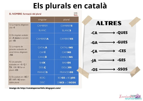 Els plurals en català. Fitxa interactiva | TopWorksheets