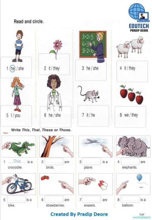 Circle and write proper pronouns. Interactive worksheet | TopWorksheets