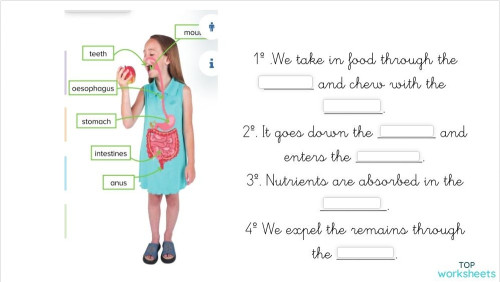 Natural Science Unit 4. Sensitivity. Interactive worksheet | TopWorksheets