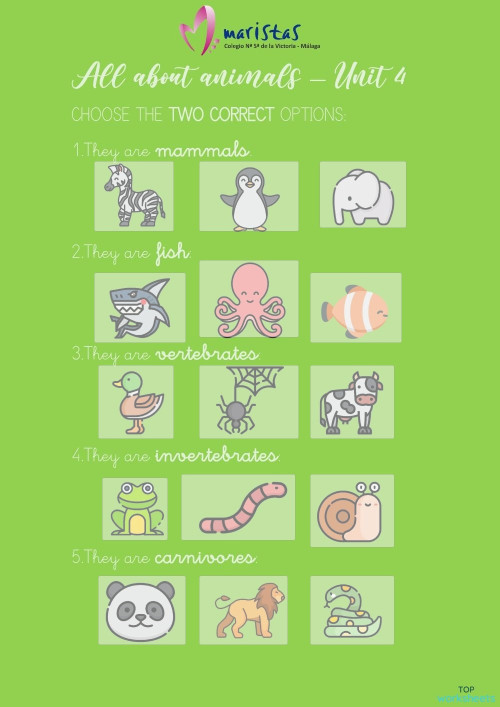 All about animals - Unit 4. Interactive worksheet | TopWorksheets