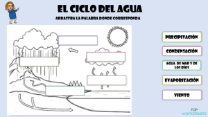 El ciclo del agua. Ficha interactiva | TopWorksheets