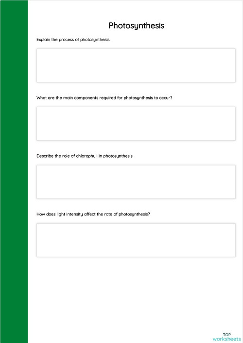 Photosynthesis. Interactive worksheet | TopWorksheets