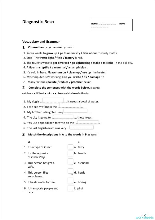 diagnostic 3 eso. Interactive worksheet | TopWorksheets