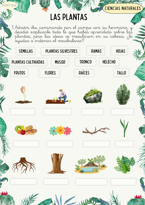 Las plantas - vocabulario - 2º EP. Ficha interactiva | TopWorksheets