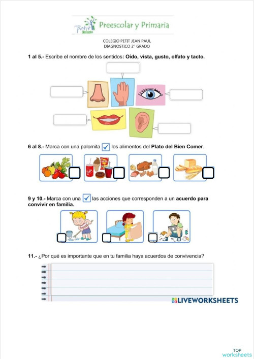 DIAGN+OSTICO DE CONOCIMIENTO. Ficha interactiva | TopWorksheets