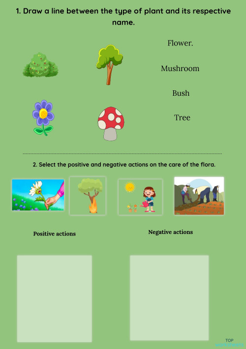 The flora.. Ficha interactiva | TopWorksheets