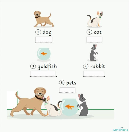 am / is / are. Interactive worksheet | TopWorksheets