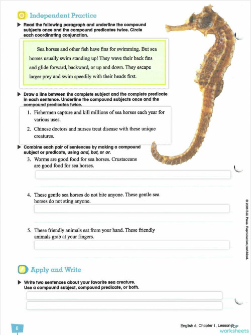 Compound Subject: interactive worksheets and online exercises ...