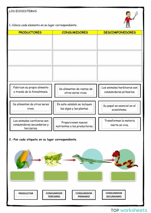 Ecosistemas: relaciones alimentarias. Ficha interactiva | TopWorksheets