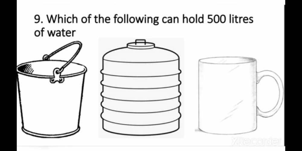 JUGS AND MUGS. Interactive worksheet | TopWorksheets
