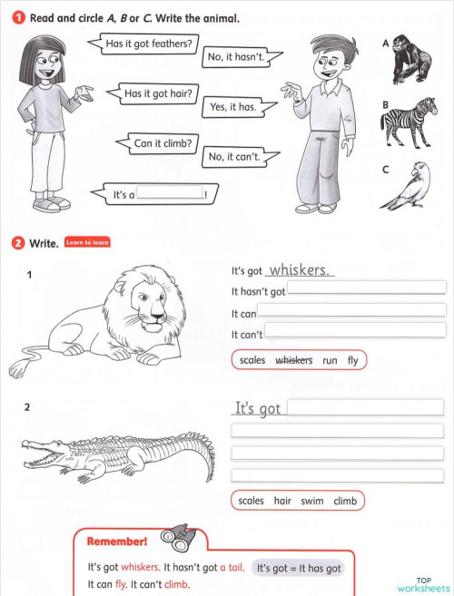 Wild animals- junior. Interactive worksheet | TopWorksheets