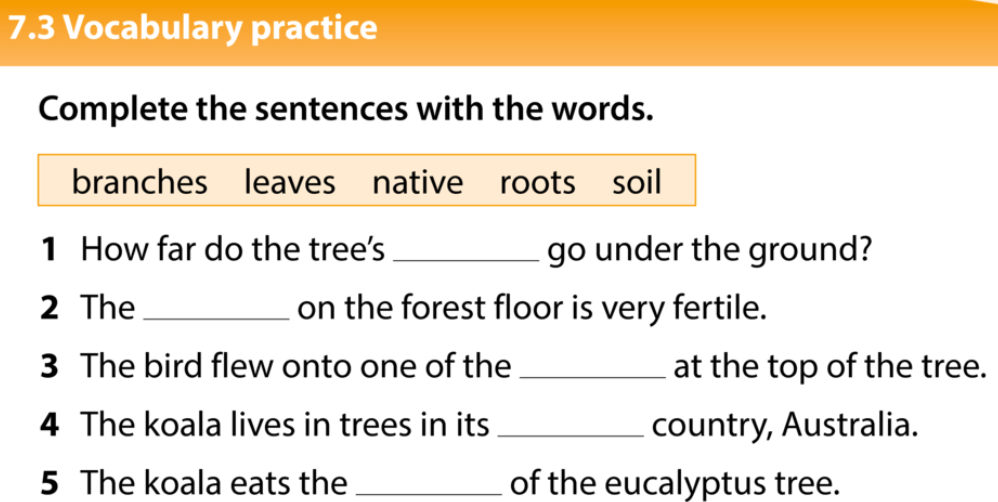 Around the world: New Zealand (kiwi bird). Interactive worksheet ...