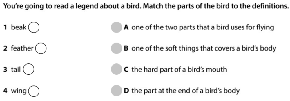 Around the world: New Zealand (kiwi bird). Interactive worksheet ...