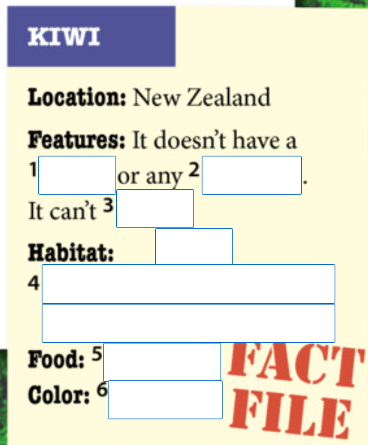 Around the world: New Zealand (kiwi bird). Interactive worksheet ...