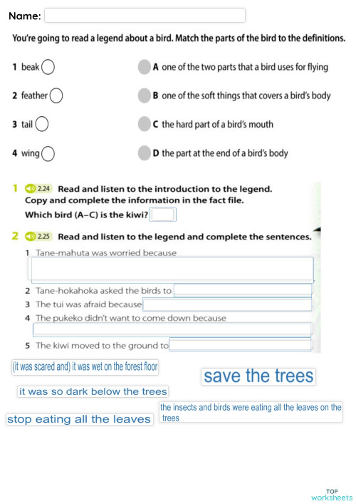 Around the world: New Zealand (kiwi bird). Interactive worksheet ...