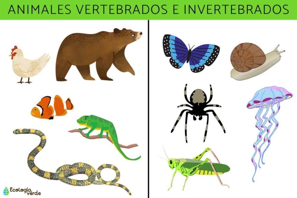 EVALUACIÓN DE CIENCIAS NATURALES. Ficha interactiva | TopWorksheets