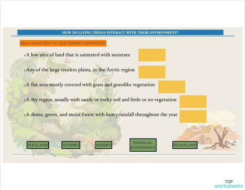 Science: interactive worksheets and online exercises | TopWorksheets