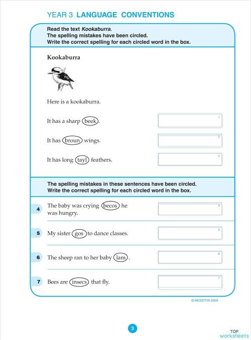 Naplan Year 3 Language Conventions 2009. Interactive worksheet ...