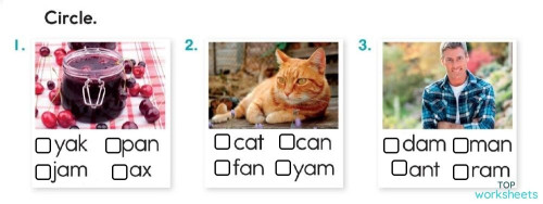 Unit 1 Part 3 Interactive Worksheet Topworksheets