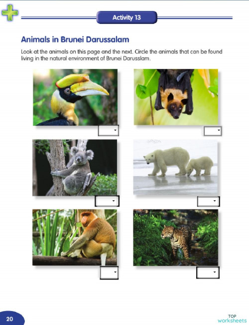 WORKBOOK ACTIVITY 13. Interactive worksheet | TopWorksheets
