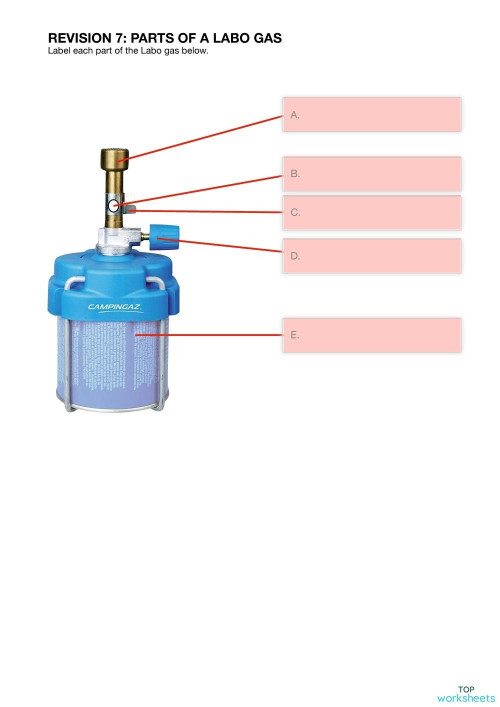 REVISION 7: PARTS OF A LABO GAS. Interactive worksheet | TopWorksheets