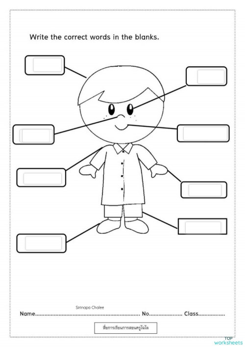 My Body Grade 1 ใบงานเชิงโต้ตอบ | TopWorksheets