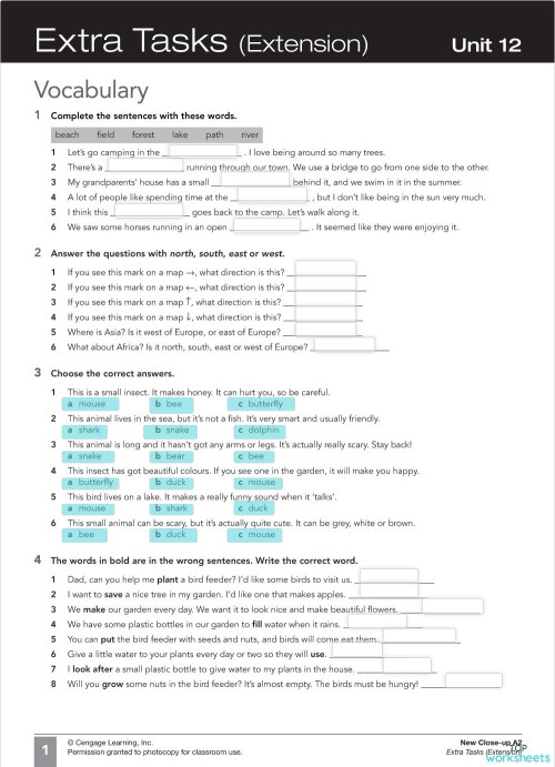 Close-Up A2 Extra Tasks Extension U12. Interactive worksheet ...