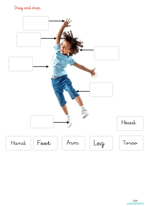 Parts of the body. Interactive worksheet | TopWorksheets