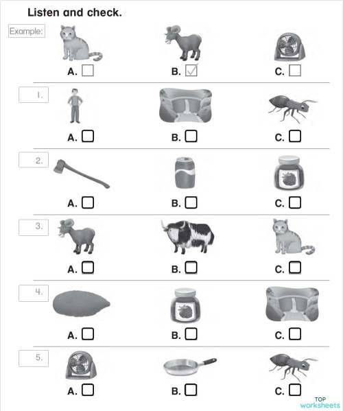 Interactive worksheets and online exercises in english | TopWorksheets