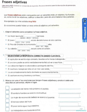 Adjetivos: fichas interactivas y ejercicios online | TopWorksheets