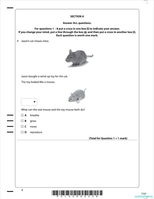 JSC01_Practice 1_Part 1_James. Interactive worksheet | TopWorksheets