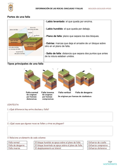 ACTIVIDAD SOBRE FALLAS. Ficha interactiva | TopWorksheets