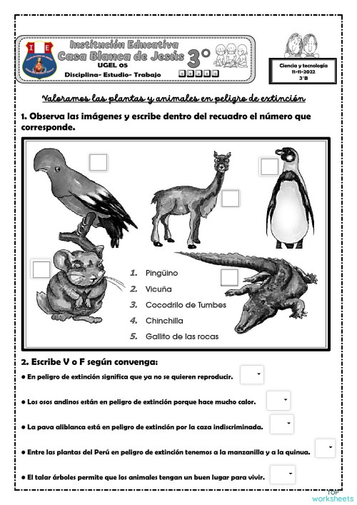 ANIMALES Y PLANTAS EN PELIGRO DE EXTINCIÓN. Ficha interactiva ...
