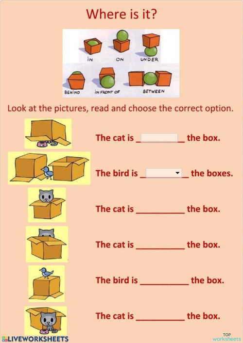 prepositions. Interactive worksheet | TopWorksheets