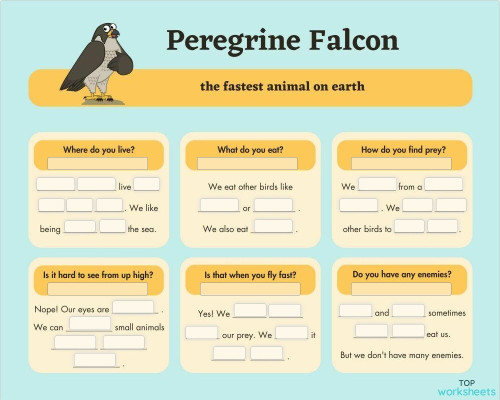 Peregrine Falcon. Interactive worksheet | TopWorksheets